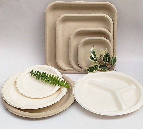 Takeaway food packaging supplies | Packaging material for food products