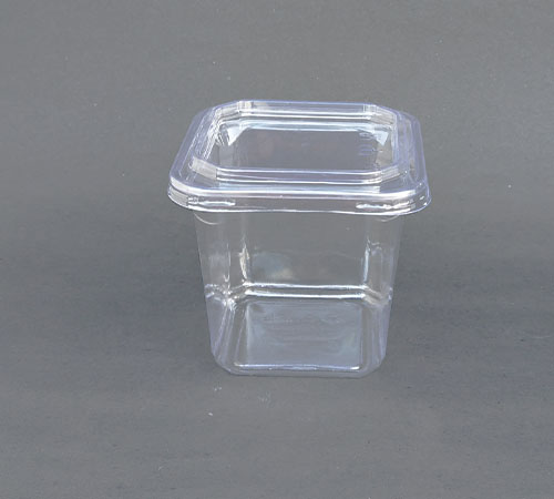 Ml Hinged Transparent Rectangular containers | Pet Products